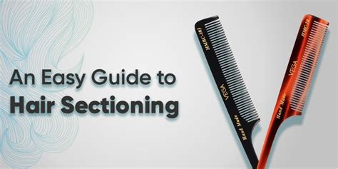 An Easy Guide To Sectioning Hair For Styling With Precision India Csr