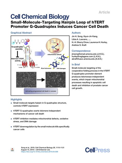 Small Molecule Targeting Hairpin Loop Of Htert Pdf Biomolecules