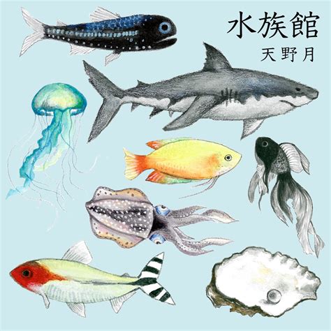 ‎水族館 天野月のアルバム Apple Music
