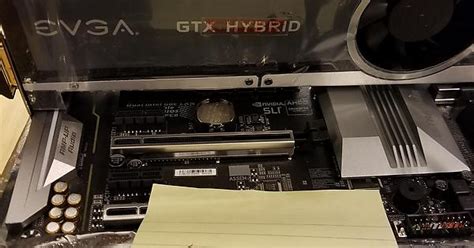 Mobocpugpu Album On Imgur