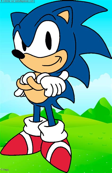 Dessin Colori Coloriage Sonic Par Lunaire Sans D Passer