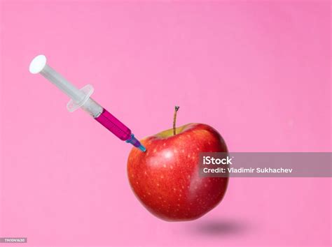 분홍색 배경에 주사기로 유전자 조작 된 빨간 사과 애플에 Gmo를 주입 하는 의료 주사기 과일 개념 최소한 Dna에 대한 스톡