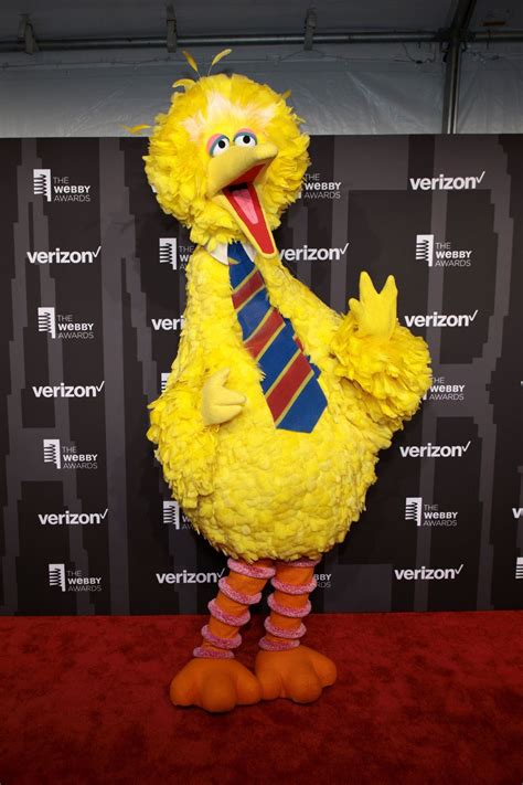 The Webby Awards On Linkedin Bigbird Sesamestreet Webbys