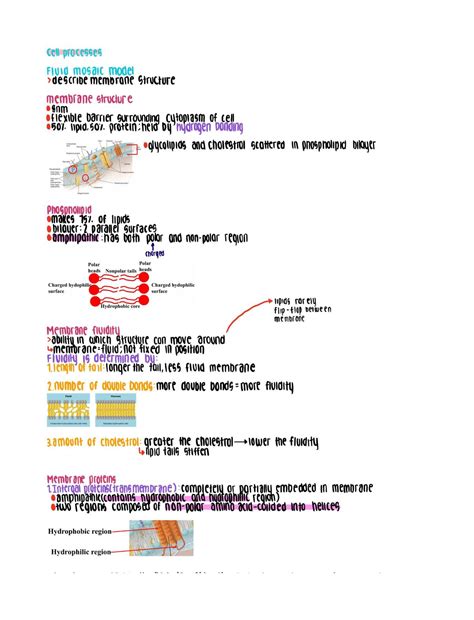 Complete Cell Processes Lecture Notes Biosci 107 Biology For
