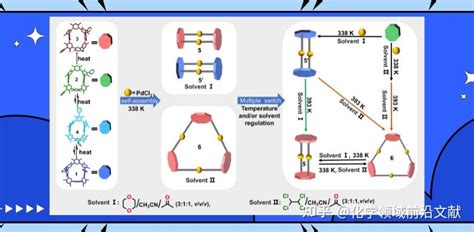 【pnas】北京师范大学龚汉元课题组：从分子响应到结构异构：金属 有机分子笼的多因素调控机制 知乎