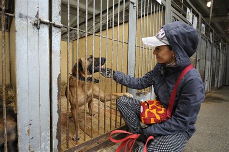 Refuge Pour Animaux Municipal Le Hangar Avec La Rangée De Volières