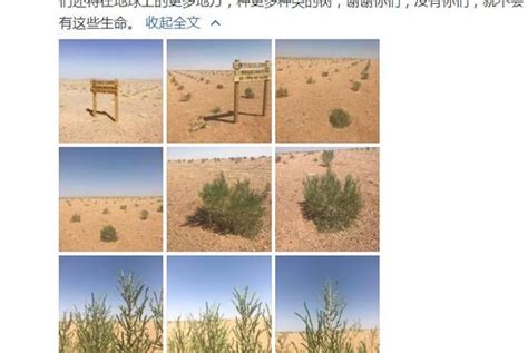 你在蚂蚁森林的树长大了吗？支付宝马上告诉你