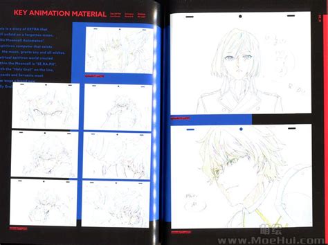 会员 画集 Fateextra Last Encore Bd Booklet Scan Key Animation Material