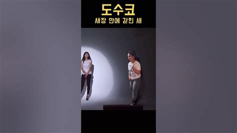 새장 안에 갇힌 새 Shorts 패러디 도수코 Youtube