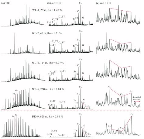 A Total Ion Chromatogram Tic B Mz 191 And C Mz 217 Mass