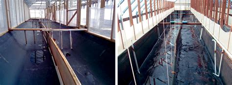 Collaboration Drives Innovations In Super Intensive Indoor Shrimp