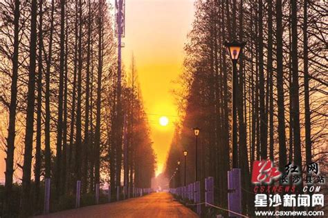 长沙县：乡村美了 游客多了 村民富了金洲村