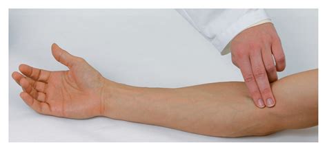 Palpate Brachial Pulse