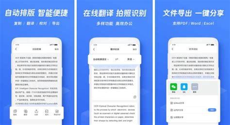录音翻译成文字的软件免费APP推荐 录音翻译成文字的软件免费下载 豌豆荚