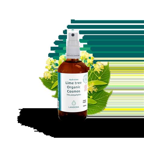 Lime Tree Hydrolate Cosmos Guaranteed Quality And Origin
