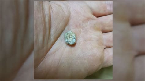 10 کشف تازه و متحیرکننده درباره اجداد انسان‌ها