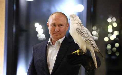 Lista celor 12 ruși care i ar putea lua locul lui Putin Cine sunt