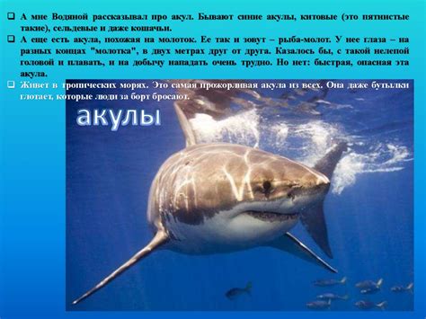 Обитатели морей и океанов презентация онлайн