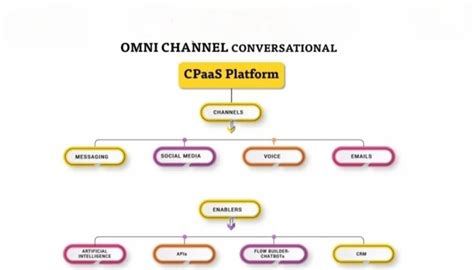 Cpass Platform Migration Service At Rs 5000 In New Delhi Id