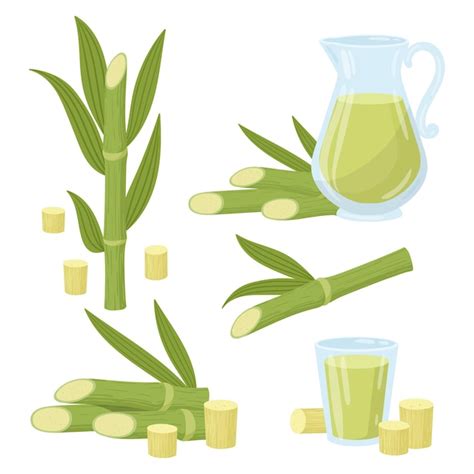 Premium Vector Cartoon Sugarcane Plant Natural Liquid Sugarcane