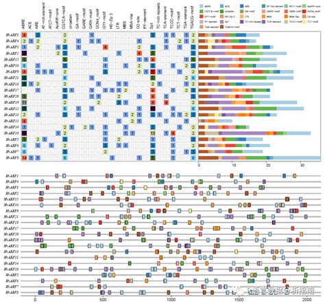 基因家族分析终极版之r语言版 腾讯云开发者社区 腾讯云