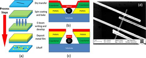 Fabricating Process Of The Single Wire Devices A Process Steps For Download Scientific