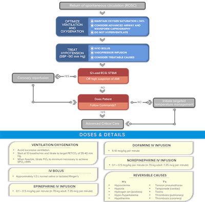 Post Cardiac Arrest Care Acls Algorithm Advanced Cardiac Life Support Basic Life Support Cpr