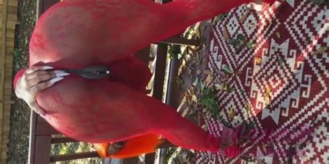 Ebony Stripper Twerking 2