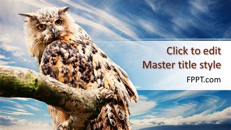 Free Owl Powerpoint Template Free Powerpoint Templates