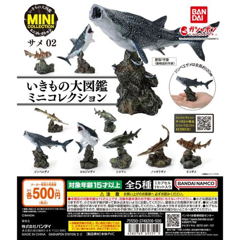 貓大爺玩具 現貨 Bandai 生物大圖鑑mini 鯊魚篇 P2 全5款 轉蛋 扭蛋 鯊魚 大白鯊 鯨鯊 蝦皮購物