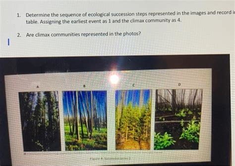 Solved Determine The Sequence Of Ecological Succession Chegg