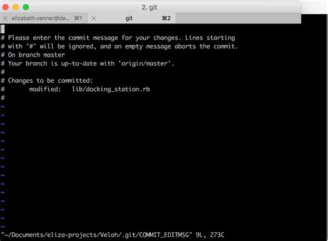 Introduction To Versioning And Git Is310 Computing In The Humanities Fall 2024