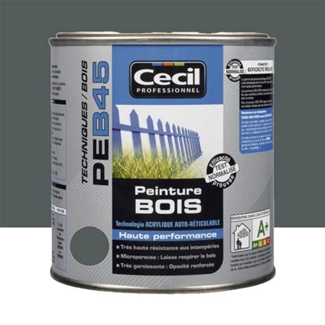 Peinture Bois Cécil Professionnel Peb45 Anthracite Pas Cher