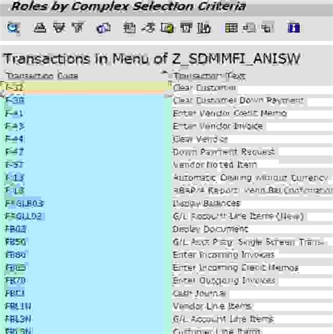 How To Find All T Codes Assigned To Defined User