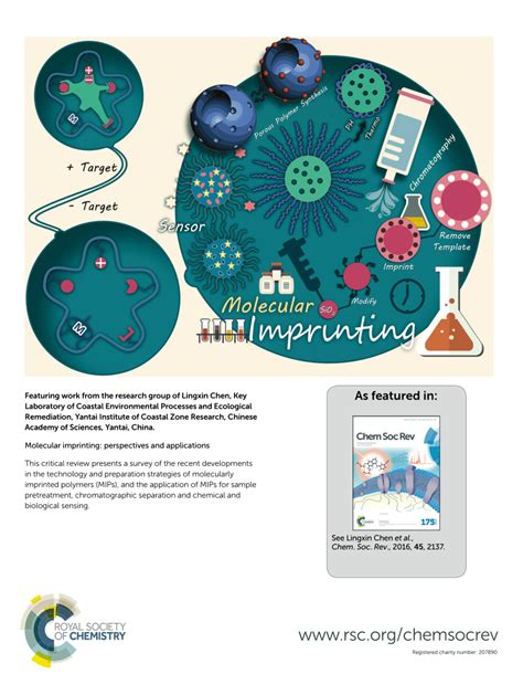 Pdf Molecular Imprinting Perspectives And Applications