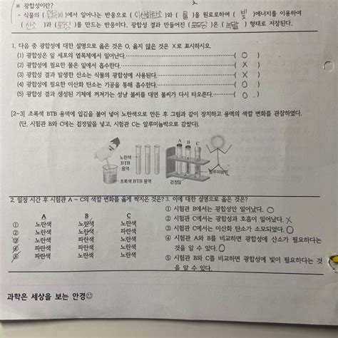 중2 과학 식물과 에너지 지식in