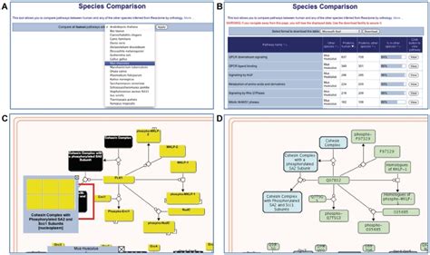 Reactome A Database Of Reactions Pathways And Biological Processes PMC