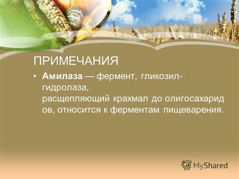 Презентация на тему: "ДРОЖЖИ ОПРЕДЕЛЕНИЕ Дрожжи группа одноклеточных ...
