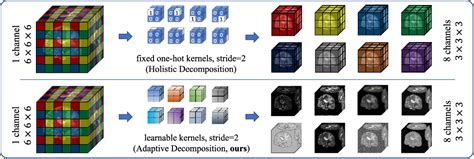 figure 4 from adaptive decomposition and shared weight volumetric