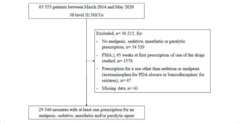 Population Flow Chart Abbreviations Pma Post Menstrual Age Weeks Download Scientific