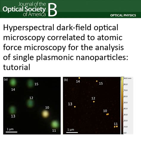 How To Investigate Plasmonic Nanoparticles Smaller Than The Diffraction Limit With Optical