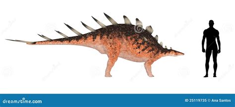 Kentrosaurus Size