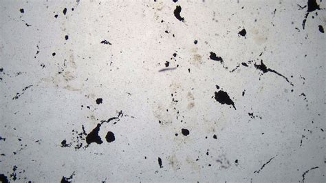 3 Micas And Other Sheet Silicates Optical Mineralogy