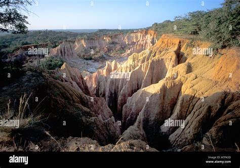 Kenya Malindi Northwest Of Malindi Is The Marafa Depression Known As Hell S Kitchen Or Nyari A