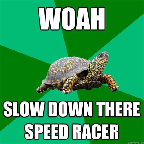 WOAH SLOW DOWN THERE SPEED RACER Istj Personality Istj Turtle Meme