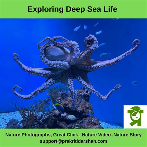 Deep Sea Life Prakriti Darshan