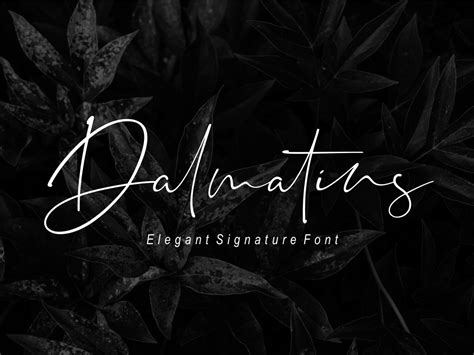 Dalmatins Elegant Signature Font By Sronstudio On Dribbble