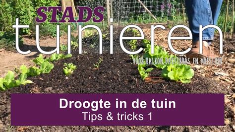 Stadstuinieren Droogte In De Moestuin Tips Moestuin YouTube