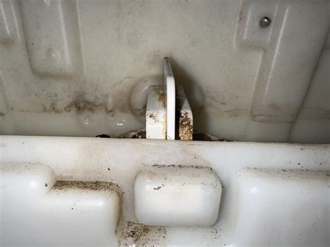 Help With Siamp Cistern Cant Get Flush Valve Out Rplumbing