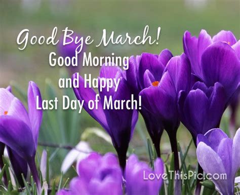 Re Positive Thoughts For March 2023 Page 49 Blogs And Forums